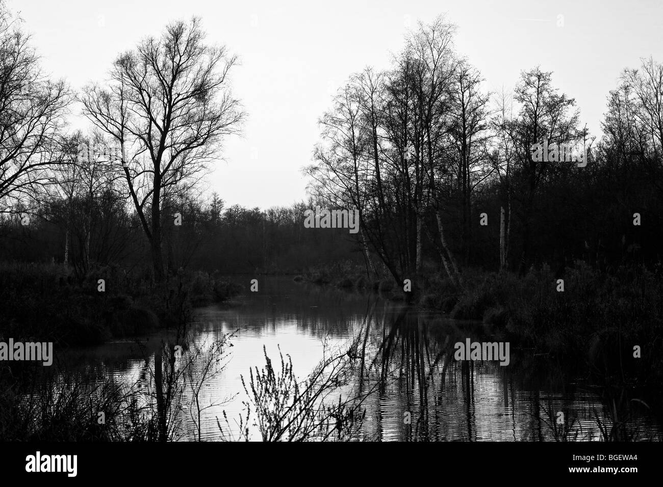 Landscape at the twilight Stock Photo - Alamy