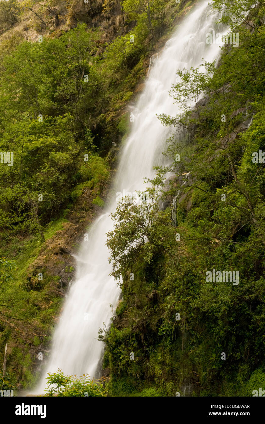 Waterfall, Shemgang Valley, BHUTAN Stock Photo - Alamy
