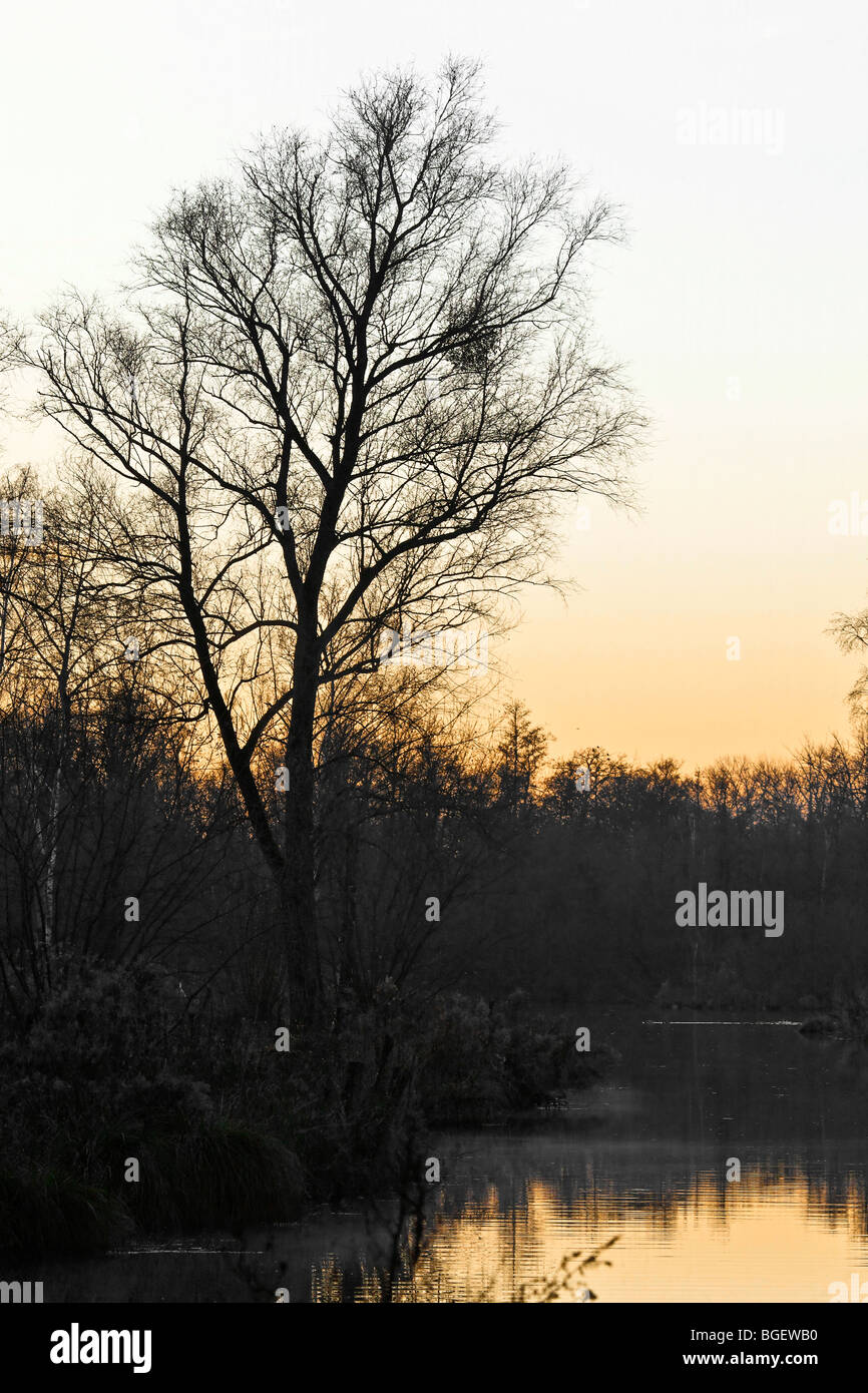 Landscape at the twilight Stock Photo - Alamy