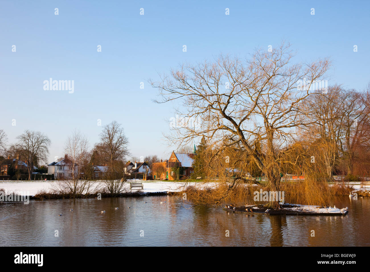 Pirbright hi-res stock photography and images - Alamy