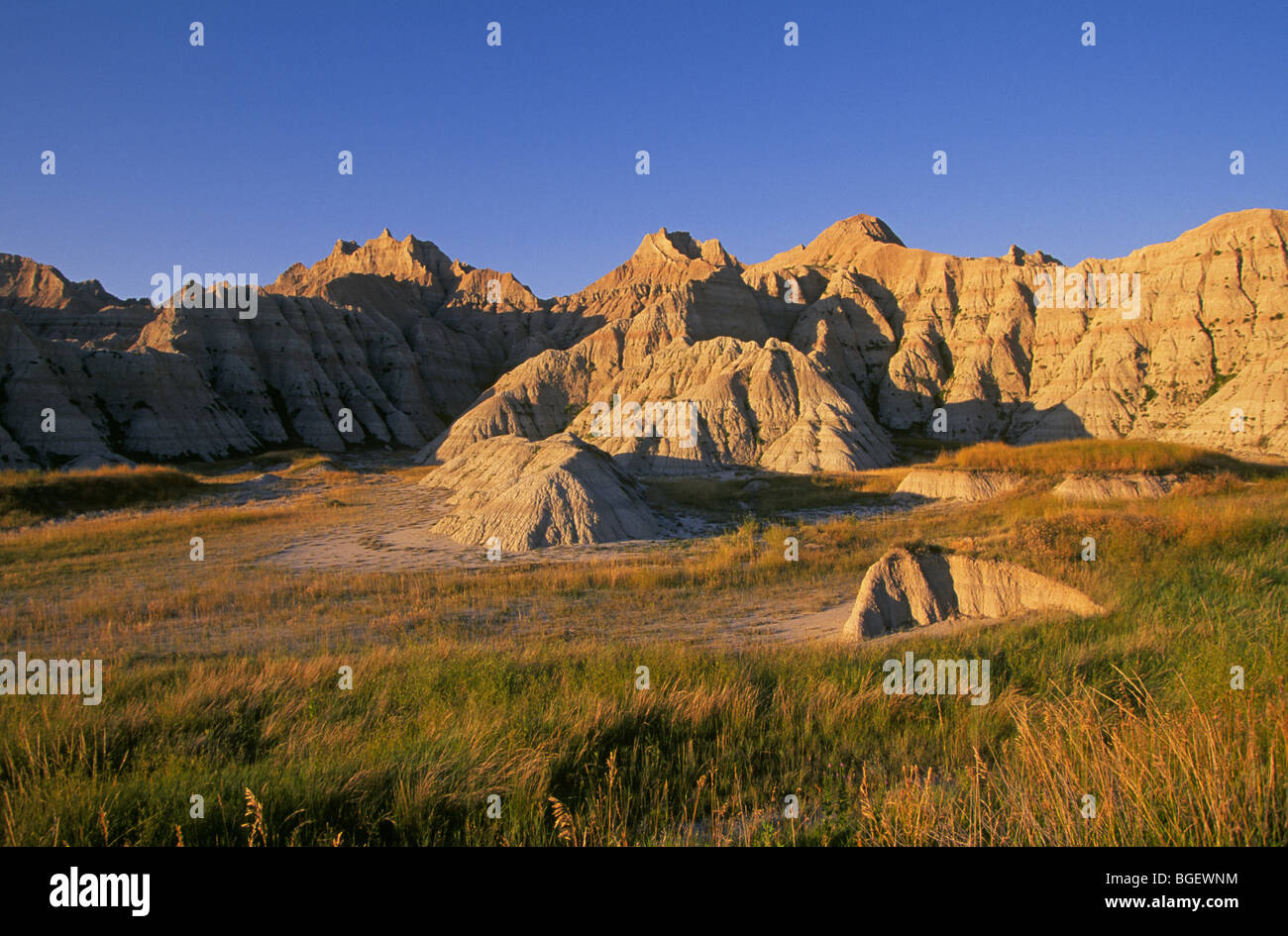 Searching for dinosaur bones hi-res stock photography and images - Alamy