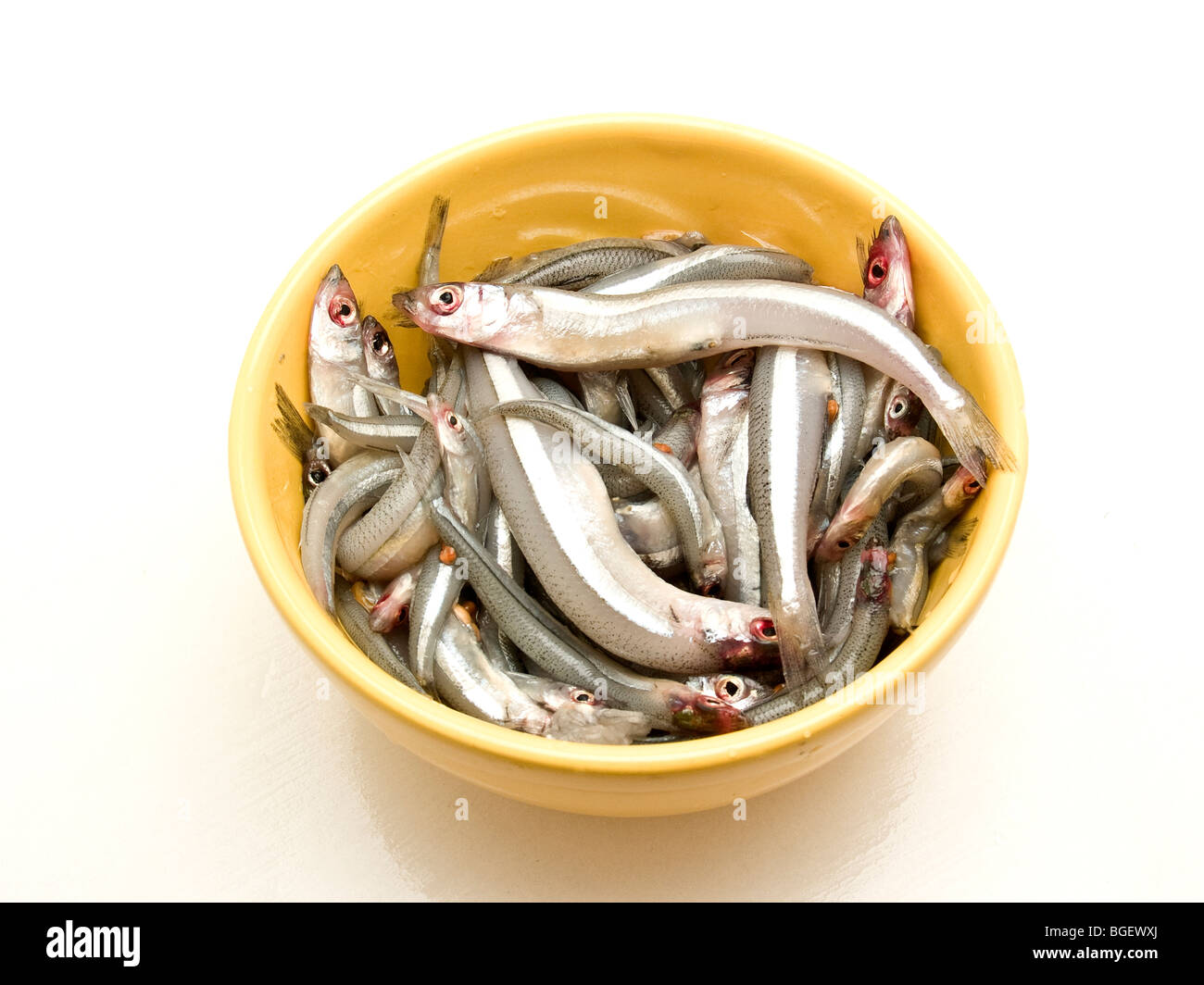 Dead fish isolated wet hi-res stock photography and images - Alamy