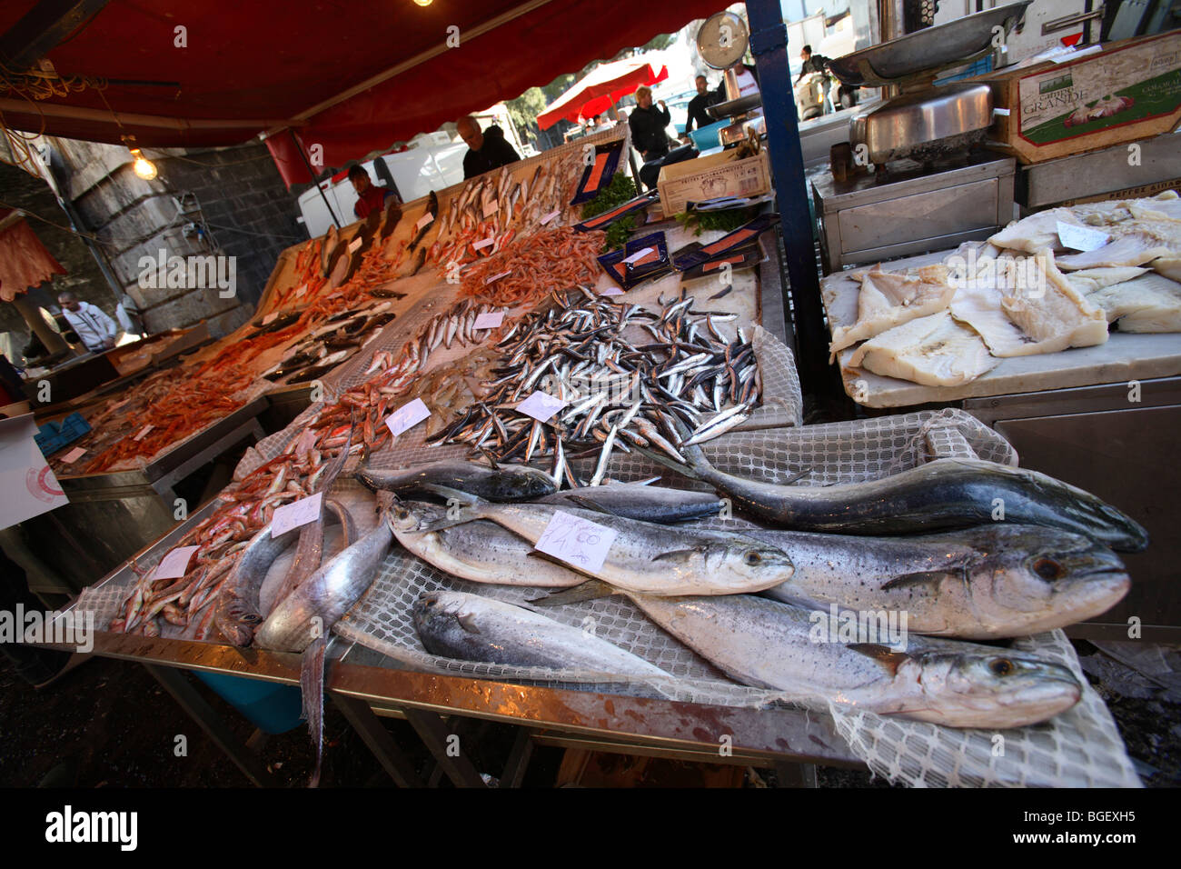 The fish market in Catania, sicily, Italy Stock Photo - Alamy