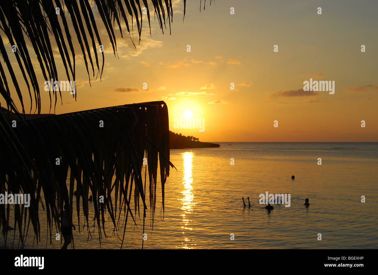 Sunset off the coast of Roatan, Bay Islands, Honduras Stock Photo - Alamy