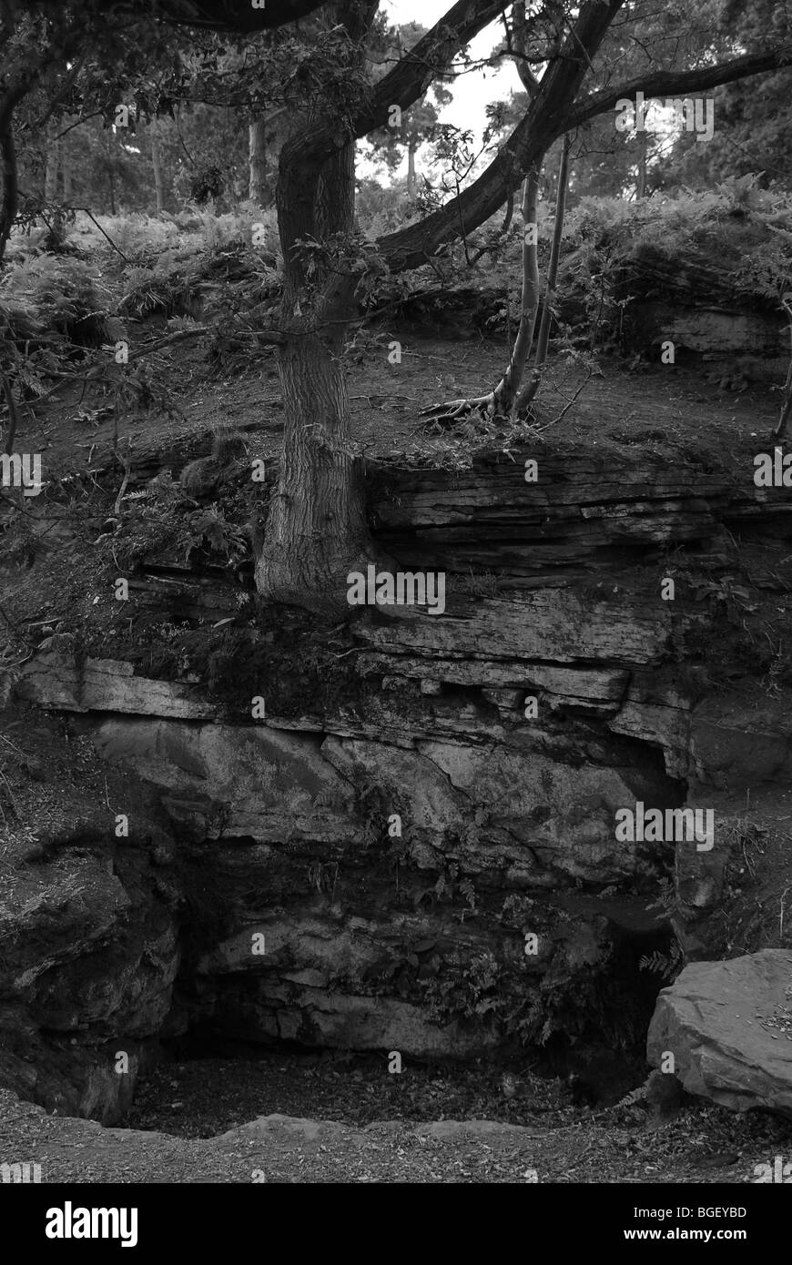 Rock gothic Black and White Stock Photos & Images - Alamy