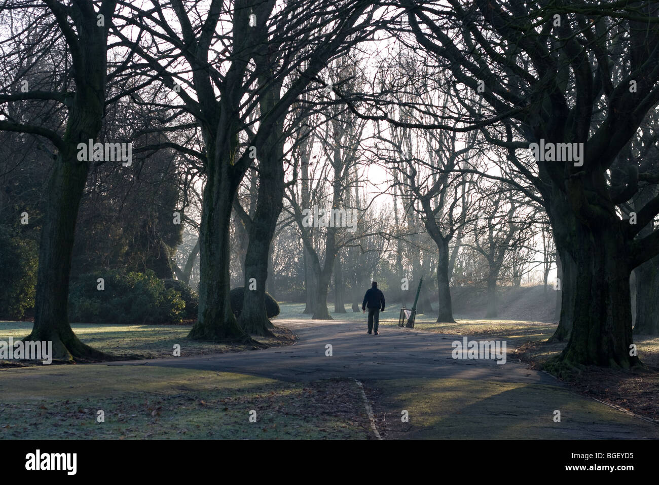 Man walking in the local park on a cold and frosty morning Stock Photo ...