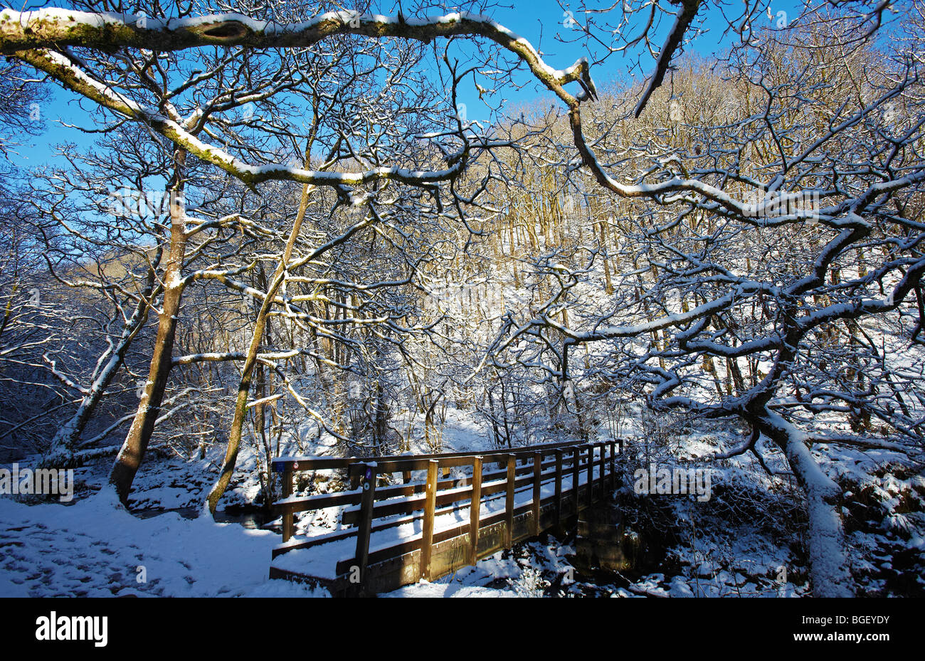 Wooden Bridge over River Nedd Fechan in a Winter Snowy scene in ...