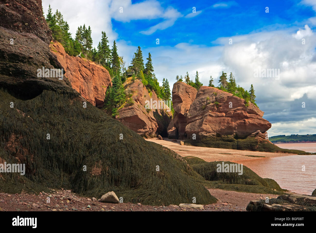 Hopewell Rocks, Hopewell Cape, Shepody Bay, Chignecto Bay, Bay of Fundy ...