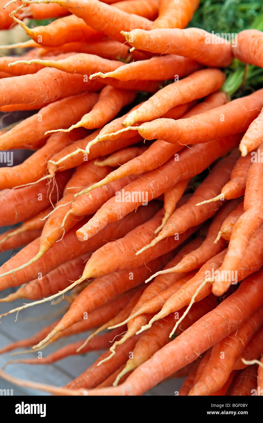 Local produce, carrots, for sale at the Saturday Markets in downtown ...