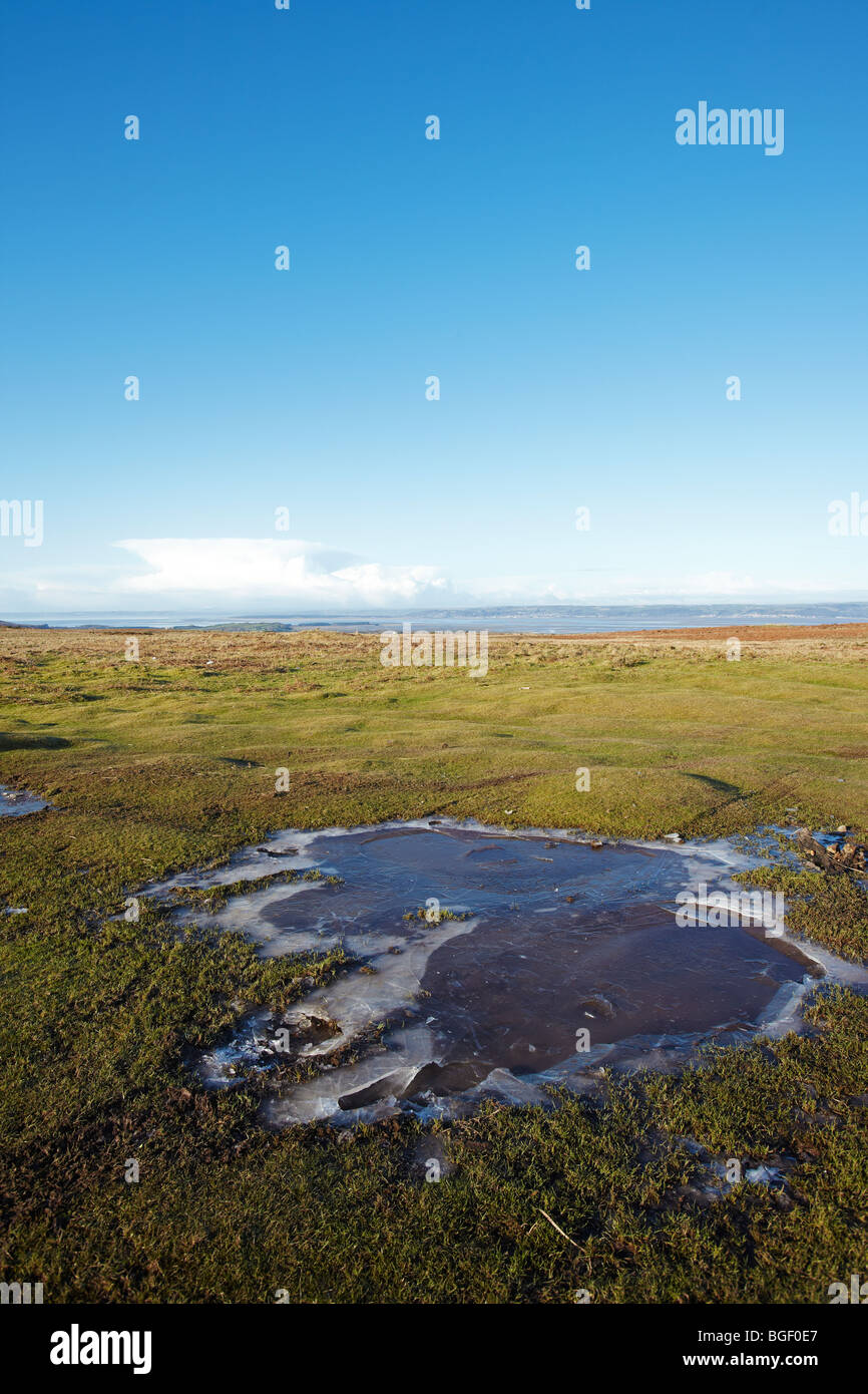 Marshy pond hi-res stock photography and images - Alamy