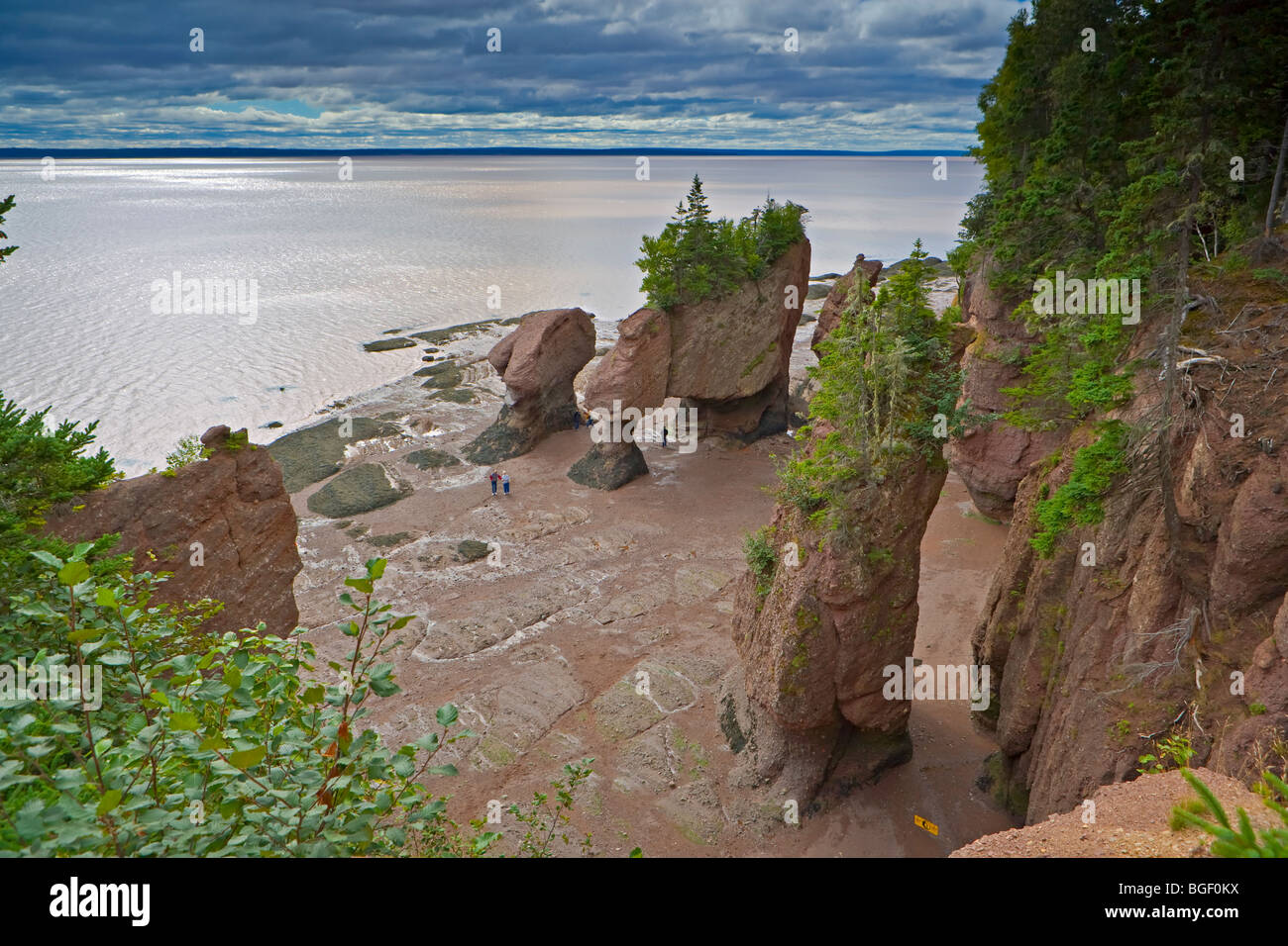 Flowerpot Rocks, Hopewell Rocks, Hopewell Cape, Shepody Bay, Chignecto ...