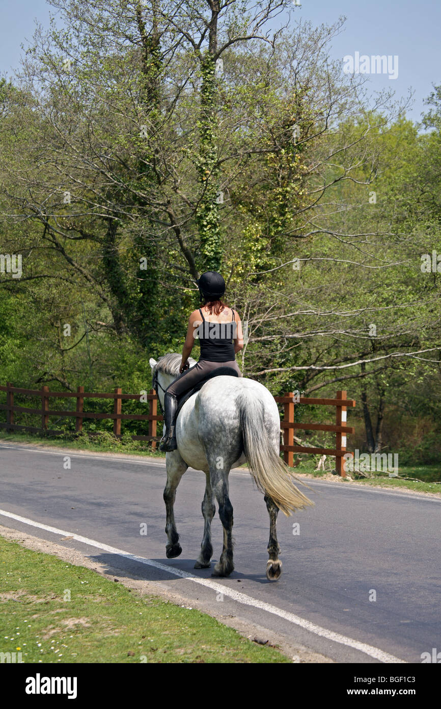 Young Woman riding Horse through the New Forest National Park ...