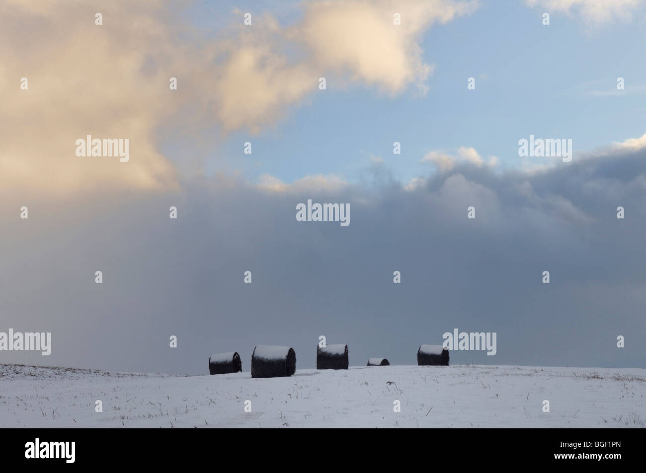 Bracken bale hi-res stock photography and images - Alamy