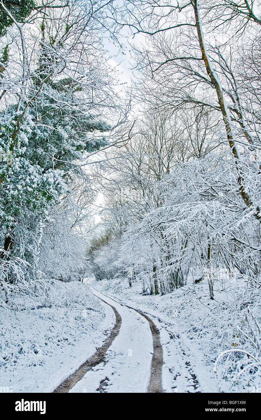 Snow covering lane hi-res stock photography and images - Alamy