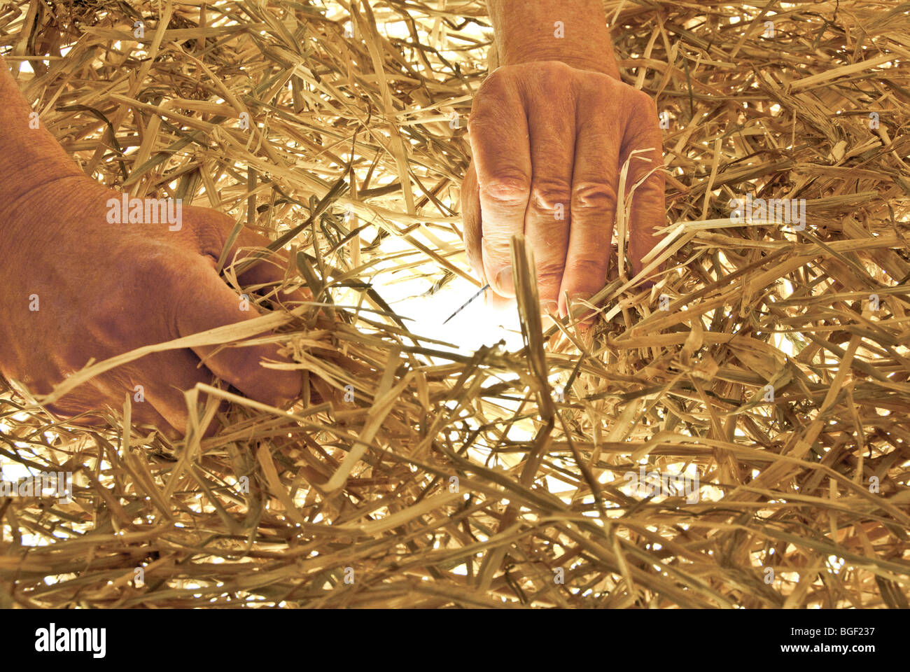High Haystack High Resolution Stock Photography and Images - Alamy