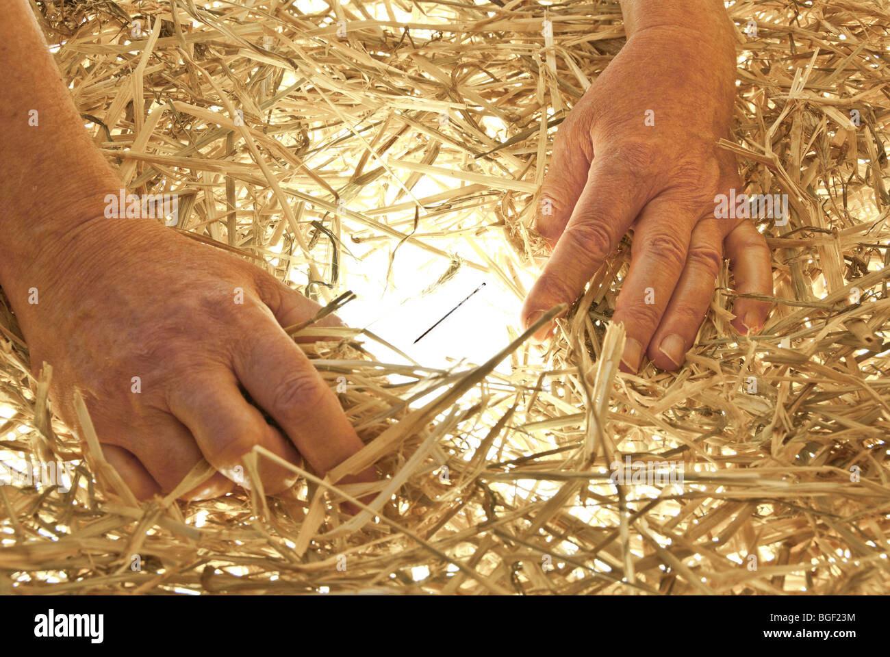 Man searching for a needle in a haystack Stock Photo - Alamy