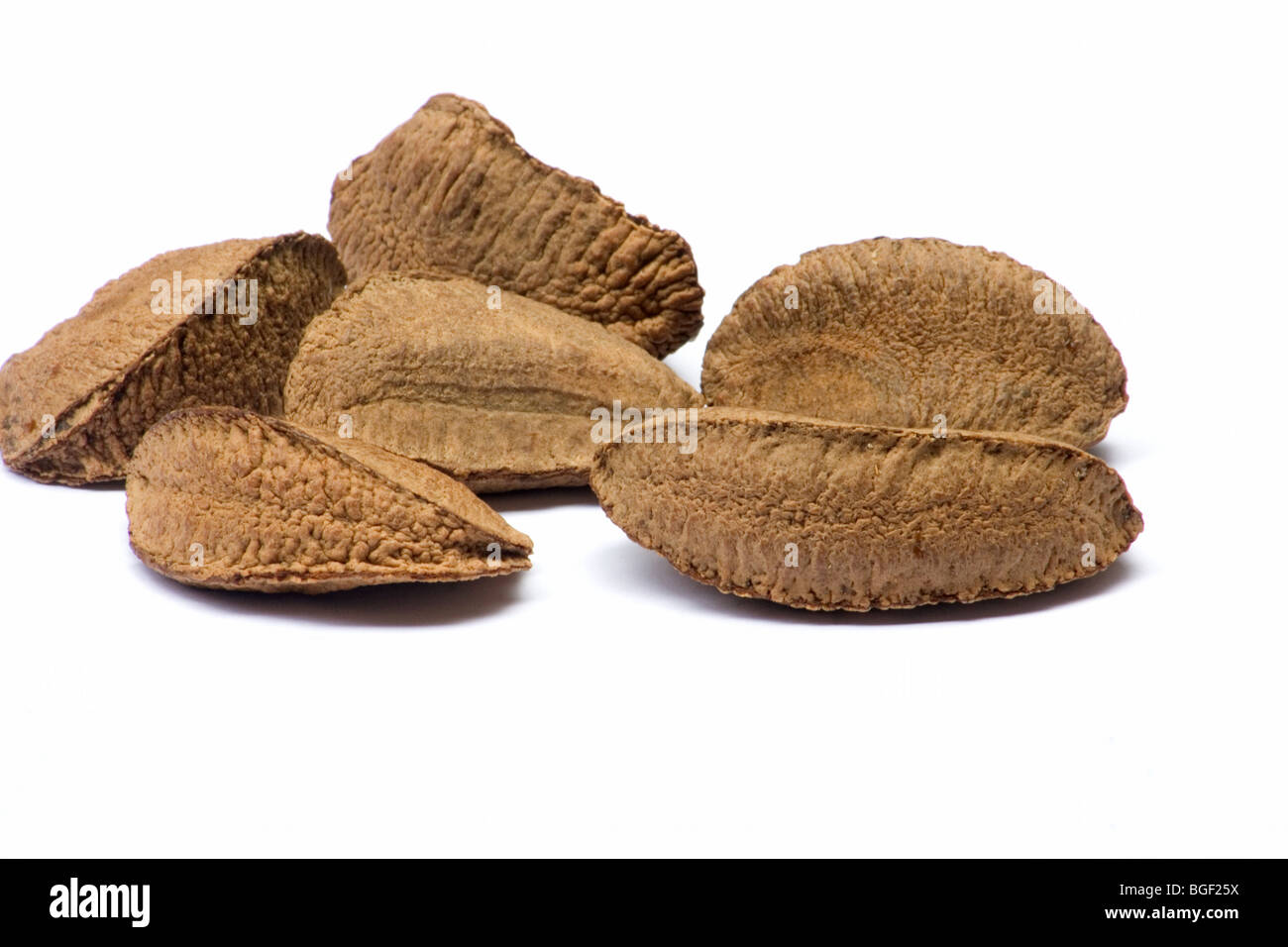 Brazil nuts on white background Stock Photo - Alamy