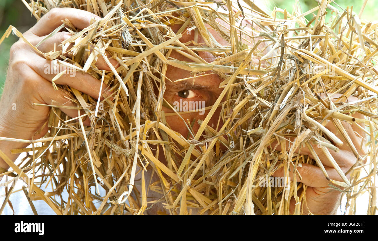 Needle Head High Resolution Stock Photography and Images - Alamy