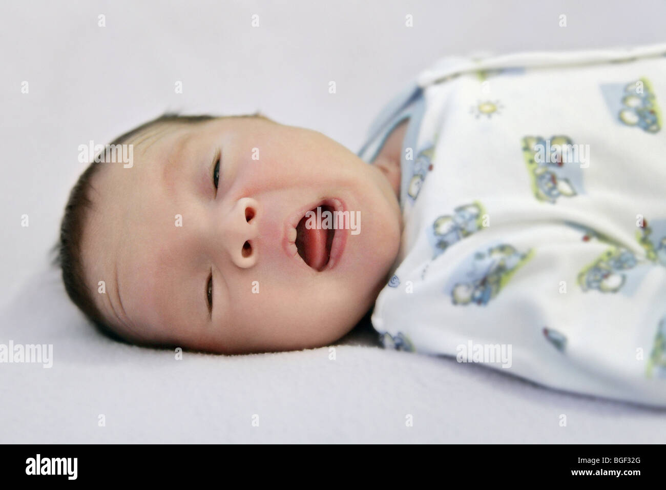 Small yawn yawning young hi-res stock photography and images - Alamy