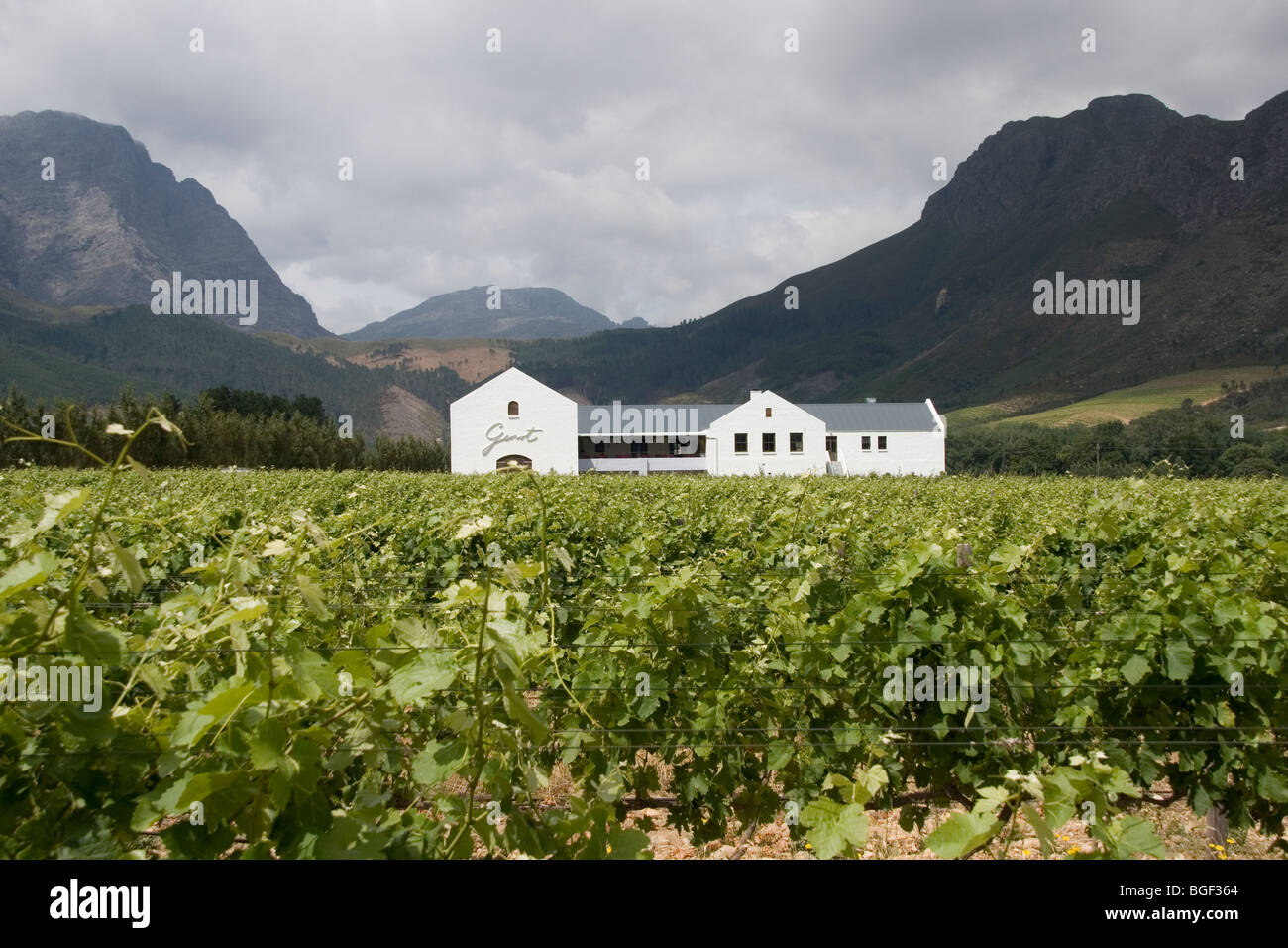 Genot hi-res stock photography and images - Alamy