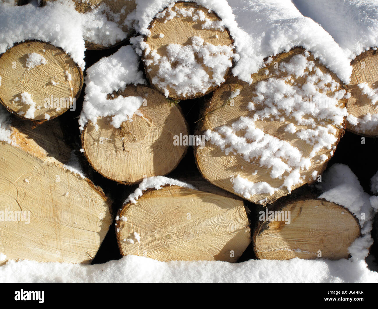 Stored wood in the snow winter Stock Photo - Alamy