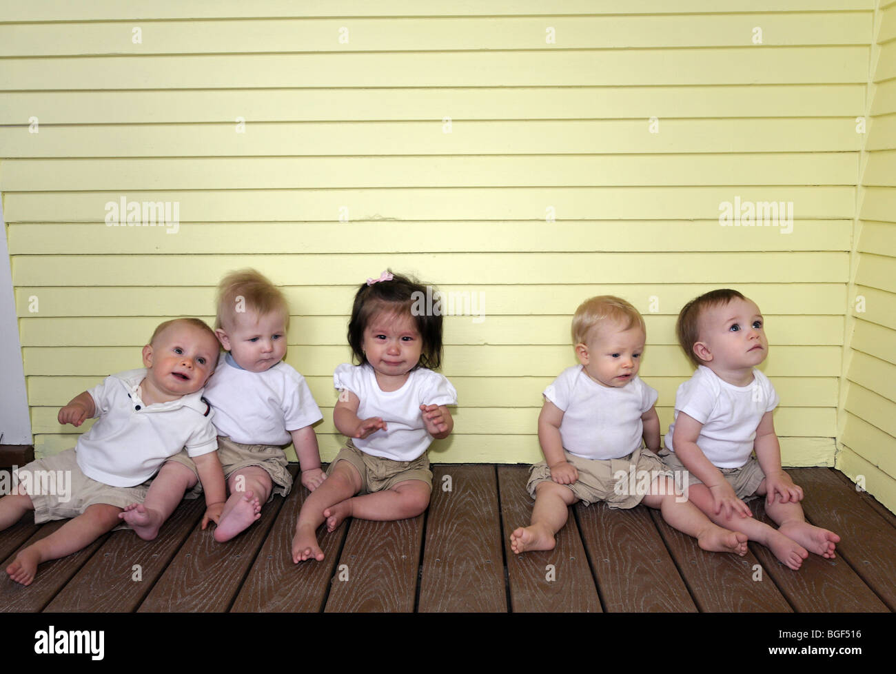 Five babies lined up for portrait Stock Photo - Alamy
