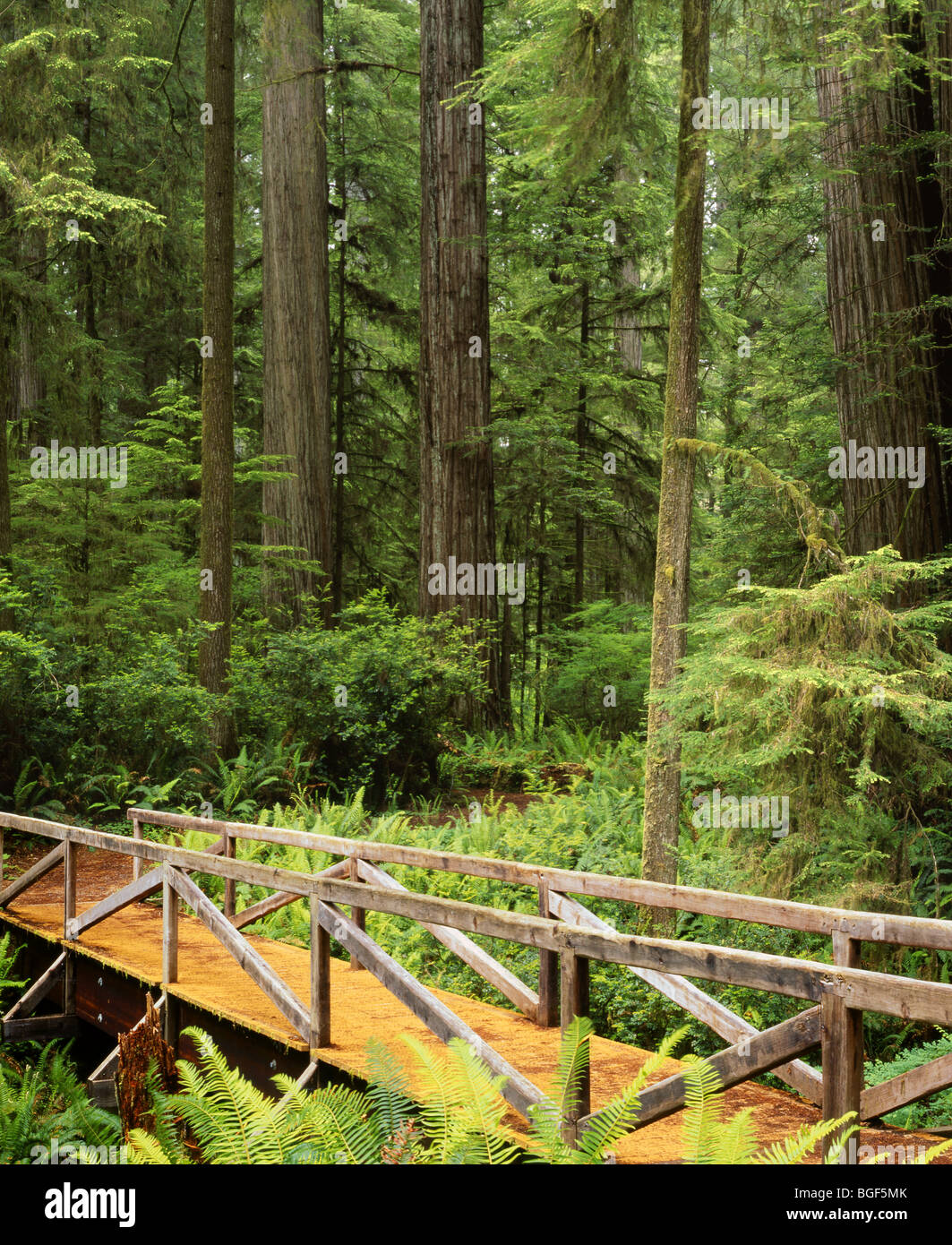 Simpson reed grove trail hi-res stock photography and images - Alamy