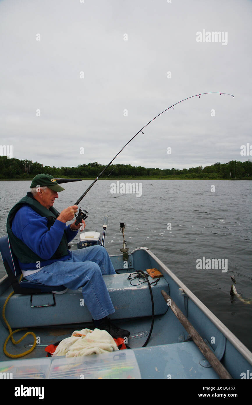 Senior elderly seasoned fishing guide casting fighting battling fish ...