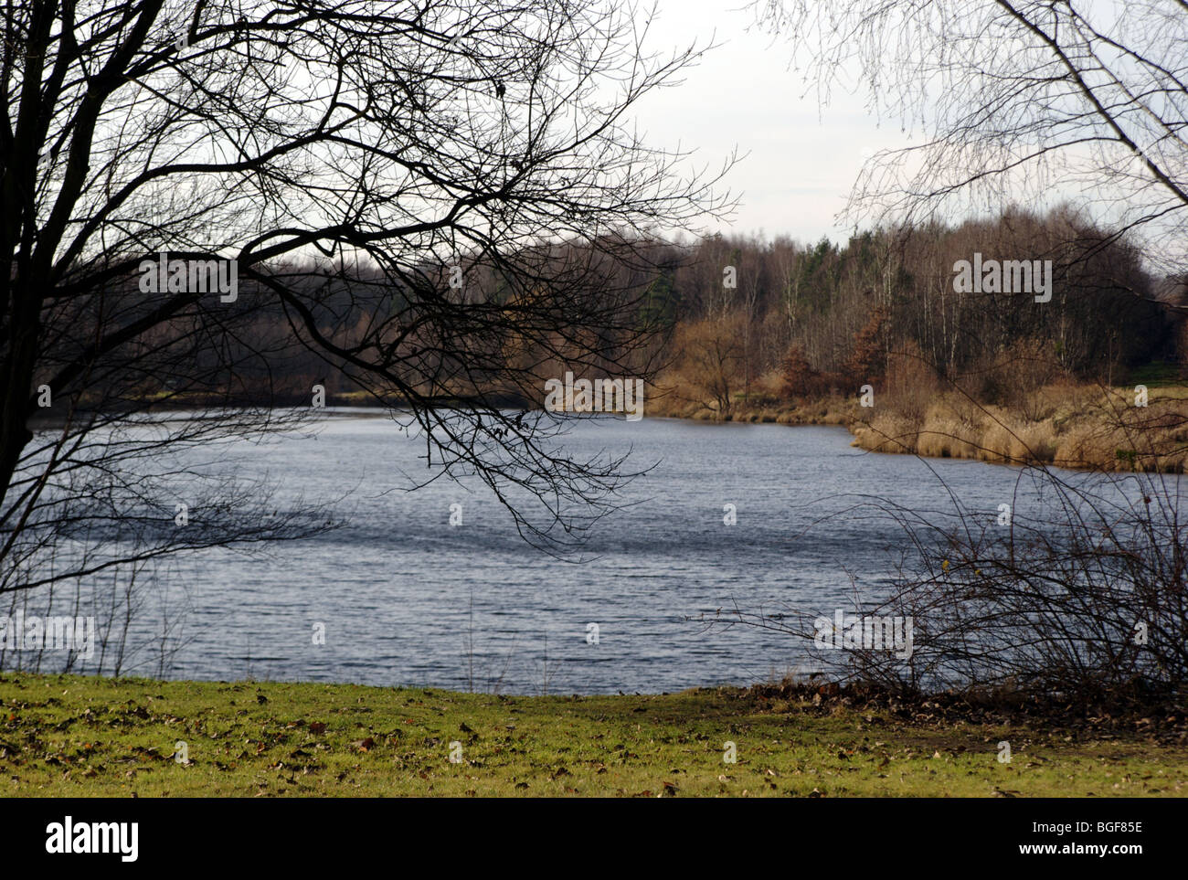 Three pond valley in Katowice Stock Photo - Alamy