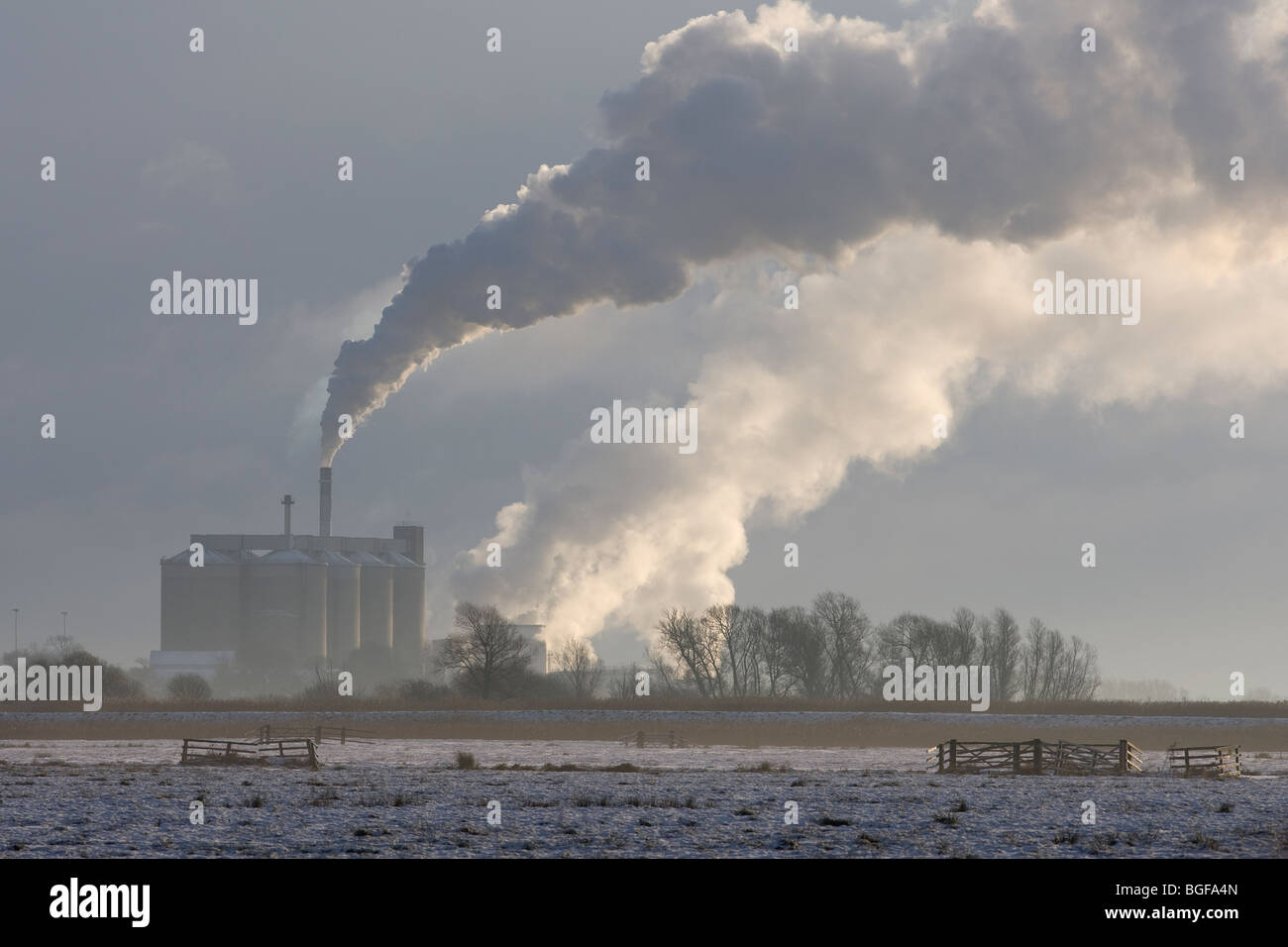 Cantley sugar beet factory Stock Photo - Alamy