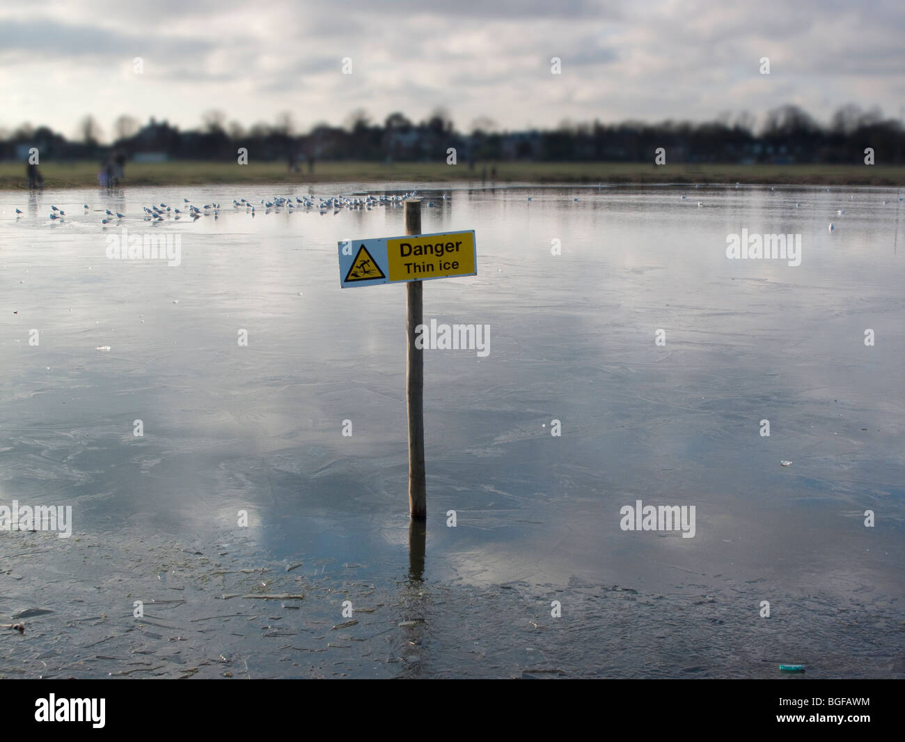 Danger, thin ice, signpost on frozen pond, Wimbledon Common, London ...