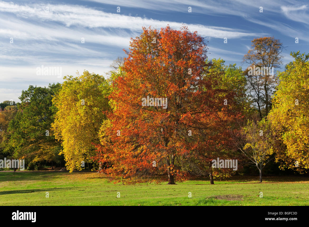 Colors reddish hi-res stock photography and images - Alamy