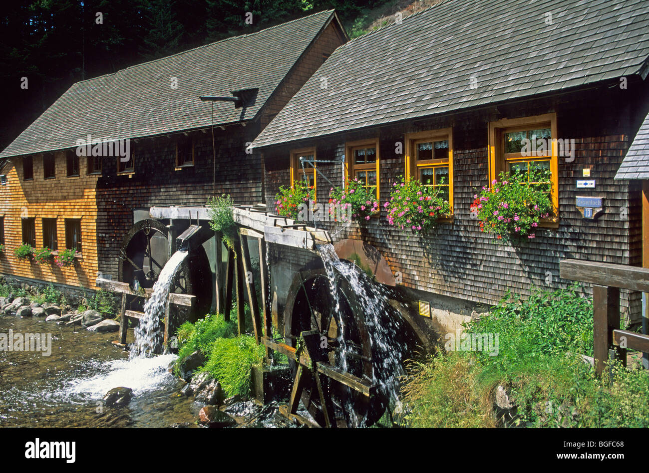 water mill Hexenloch (witch hole), Black Forest, Baden-Wuerttemberg ...