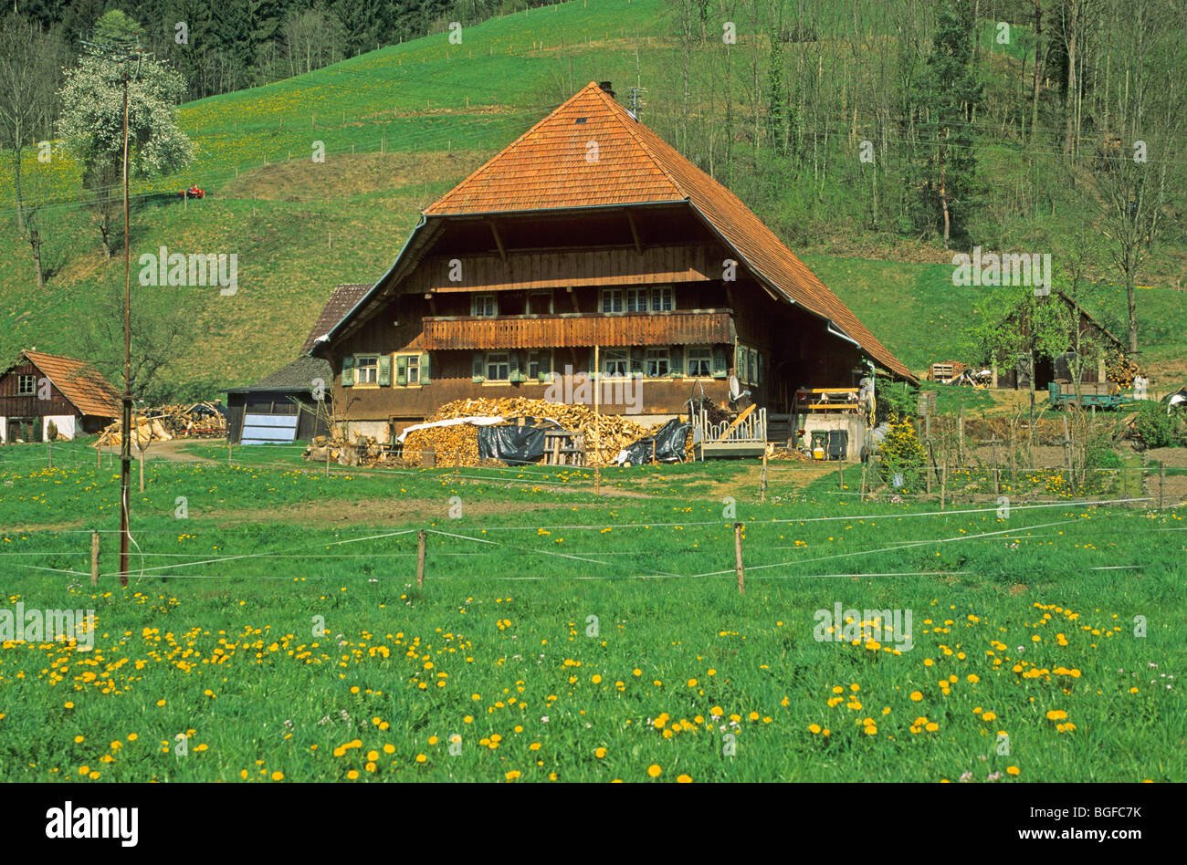 traditional farmhouse near Hausach, Black Forest, Baden-Wuerttemberg ...