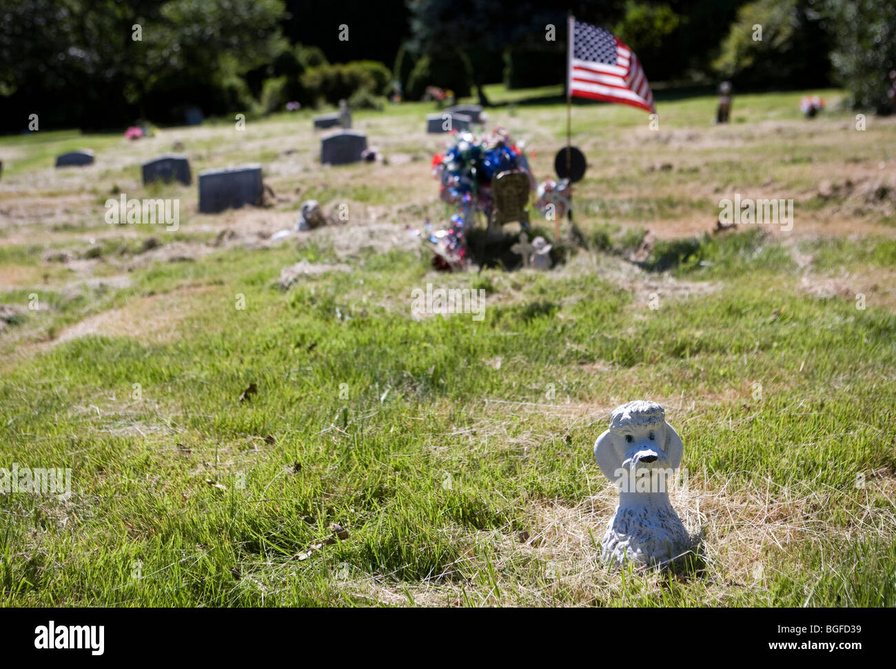 Dog Cemetery High Resolution Stock Photography and Images - Alamy
