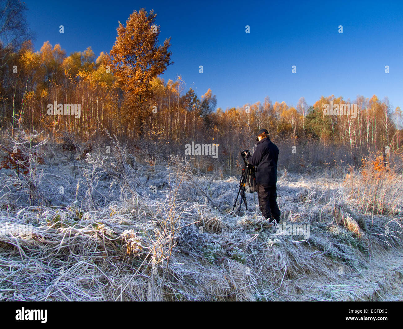 Outdoor photographer - frost at dawn Stock Photo - Alamy