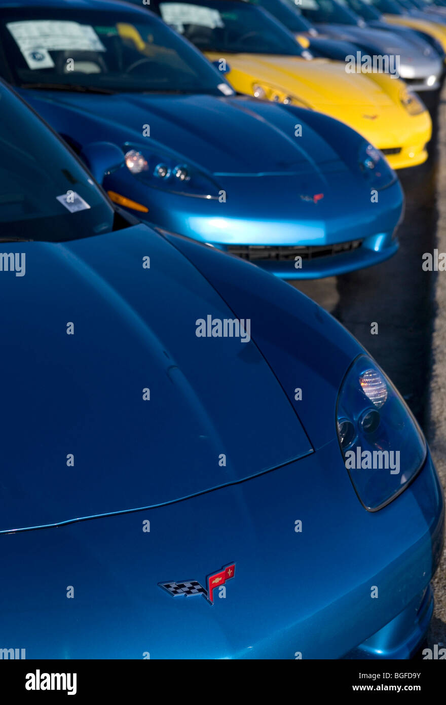 Chevy corvette 2008 hi-res stock photography and images - Alamy