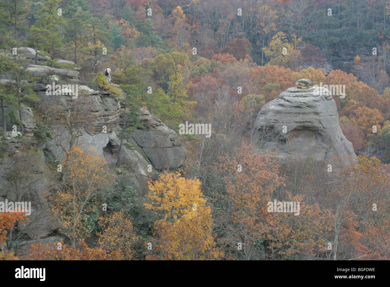 Red River Gorge Kentucky fall colors hiker Stock Photo - Alamy