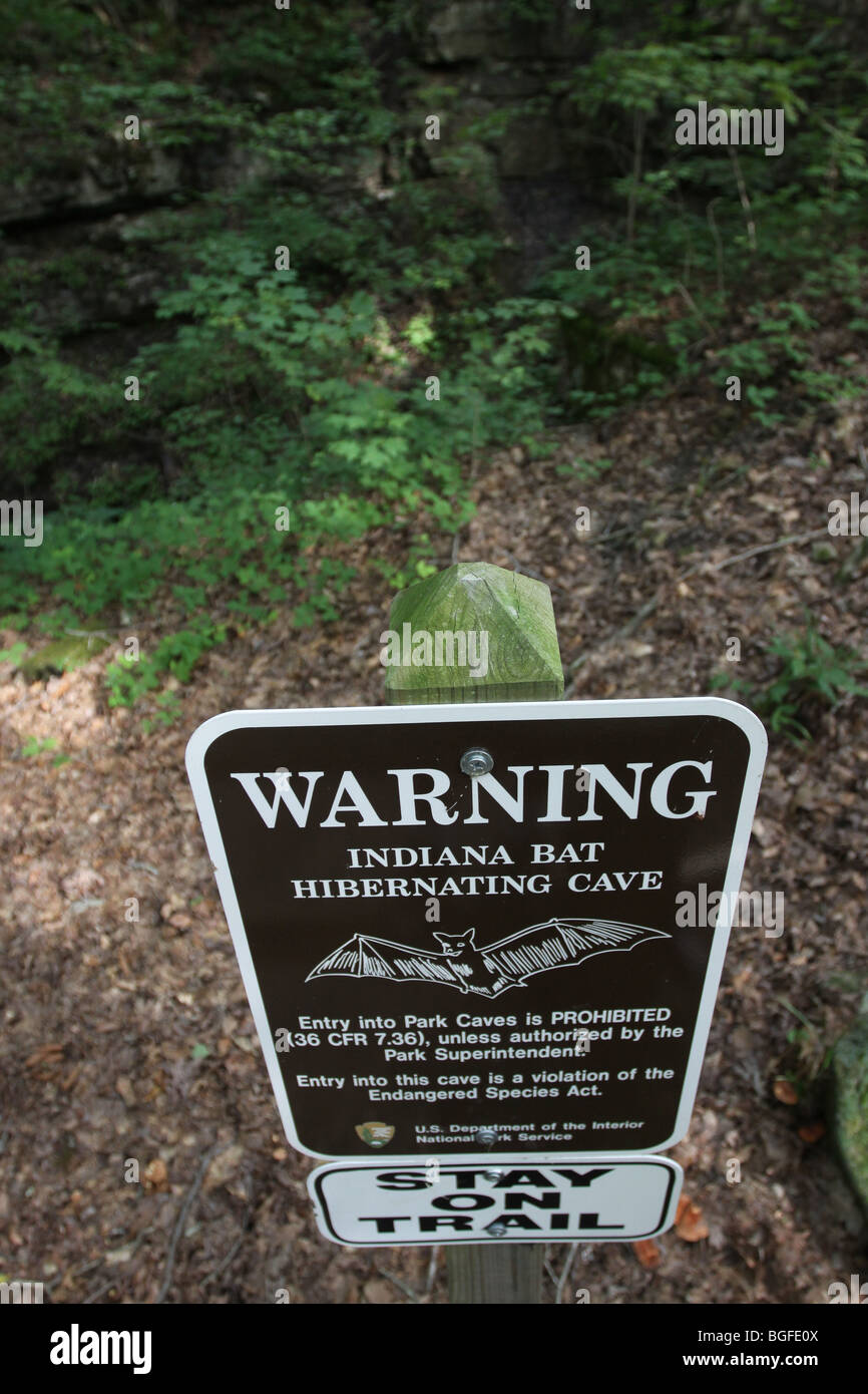 Indiana bat mammoth hi-res stock photography and images - Alamy