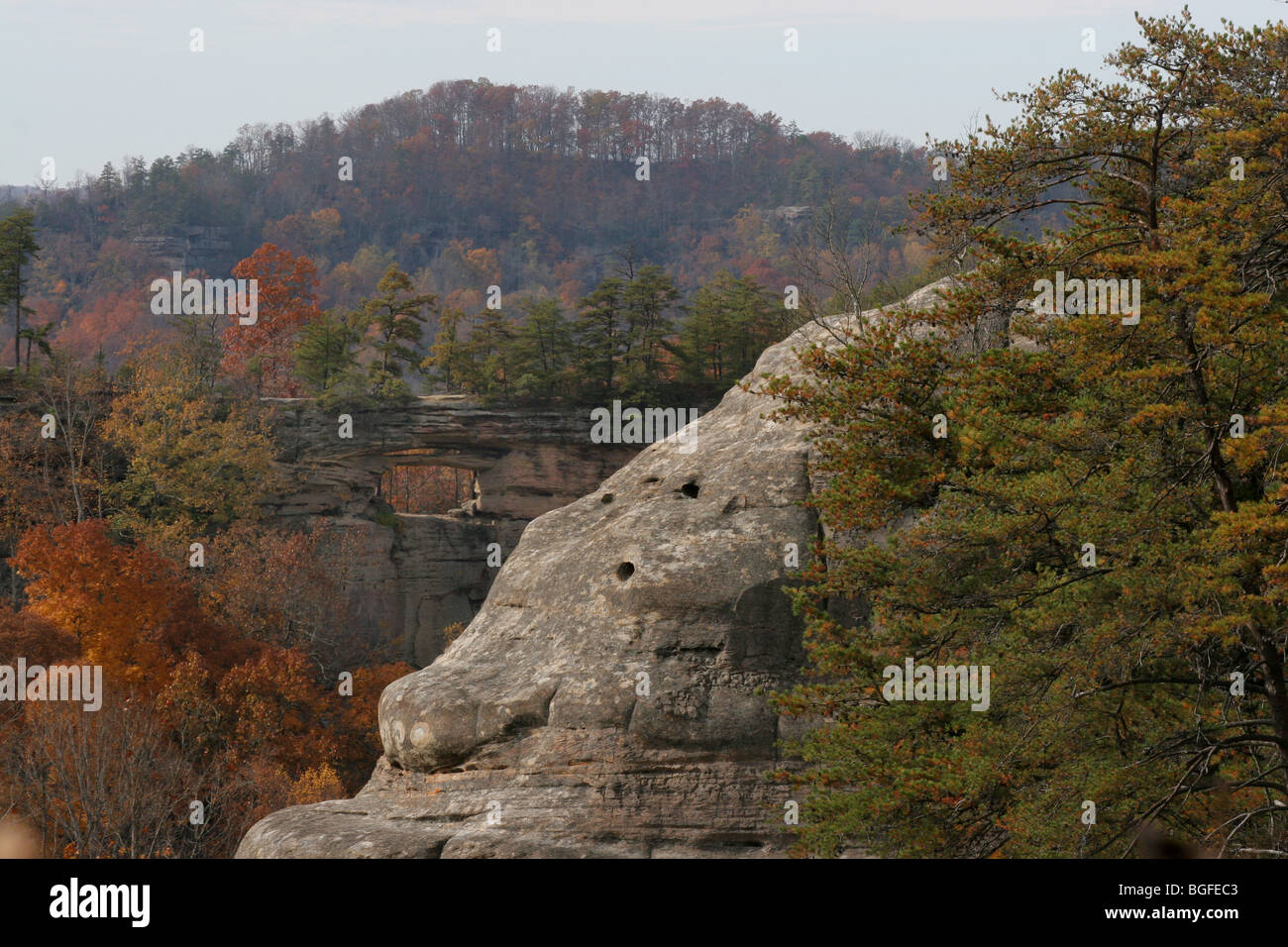 Red river gorge kentucky fall hi-res stock photography and images - Alamy
