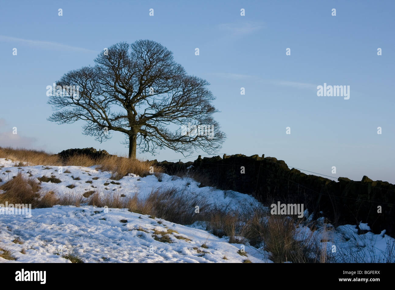 Baildon moor hi-res stock photography and images - Alamy