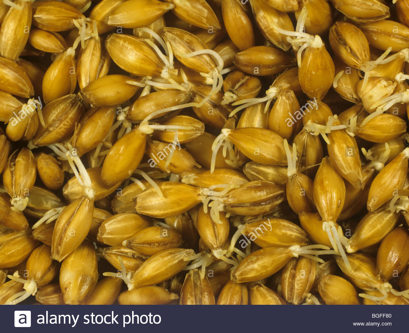 Process Stock Photos & Process Stock Images - Alamy