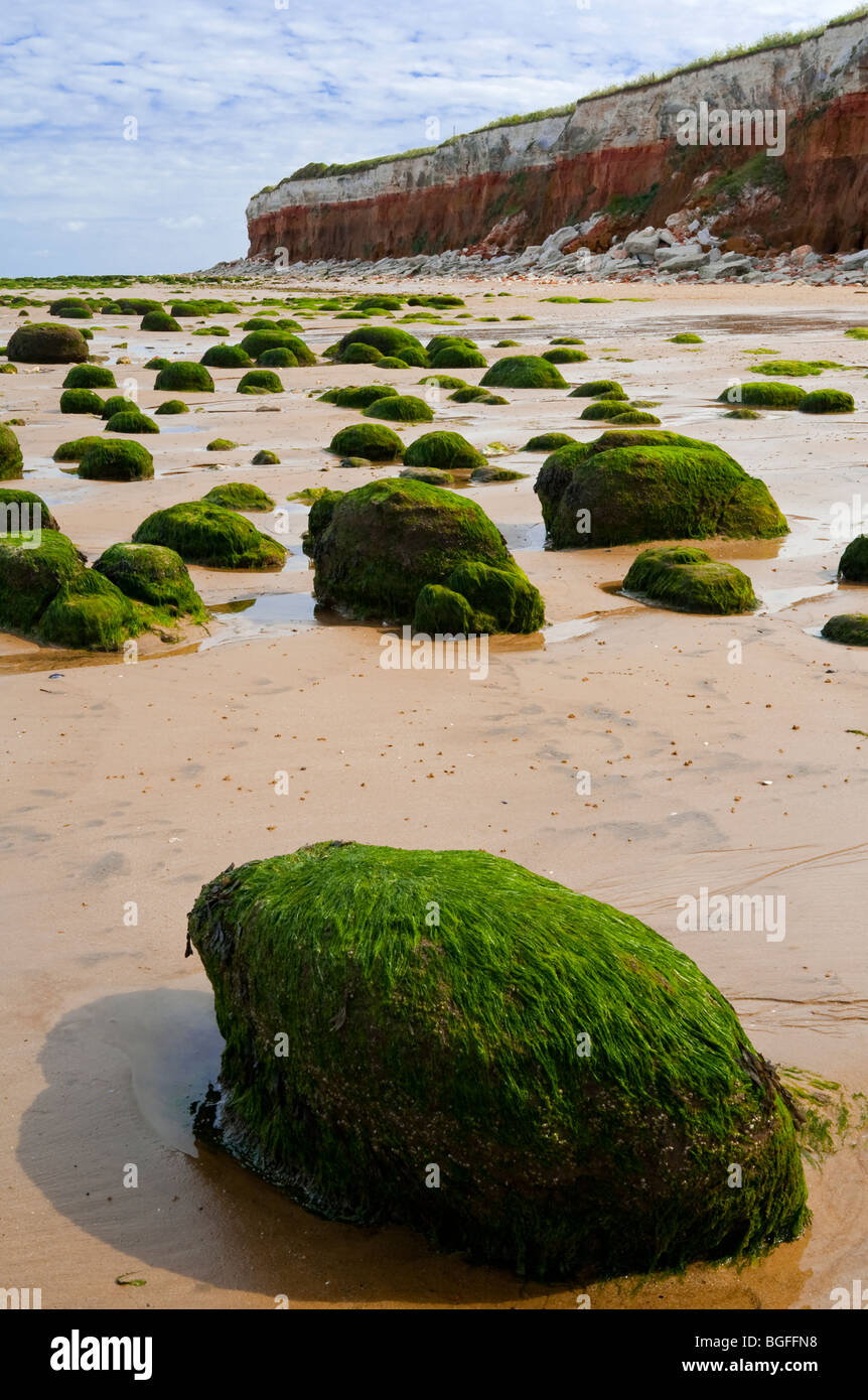 Hunstanton rocks norfolk tourism hi-res stock photography and images ...