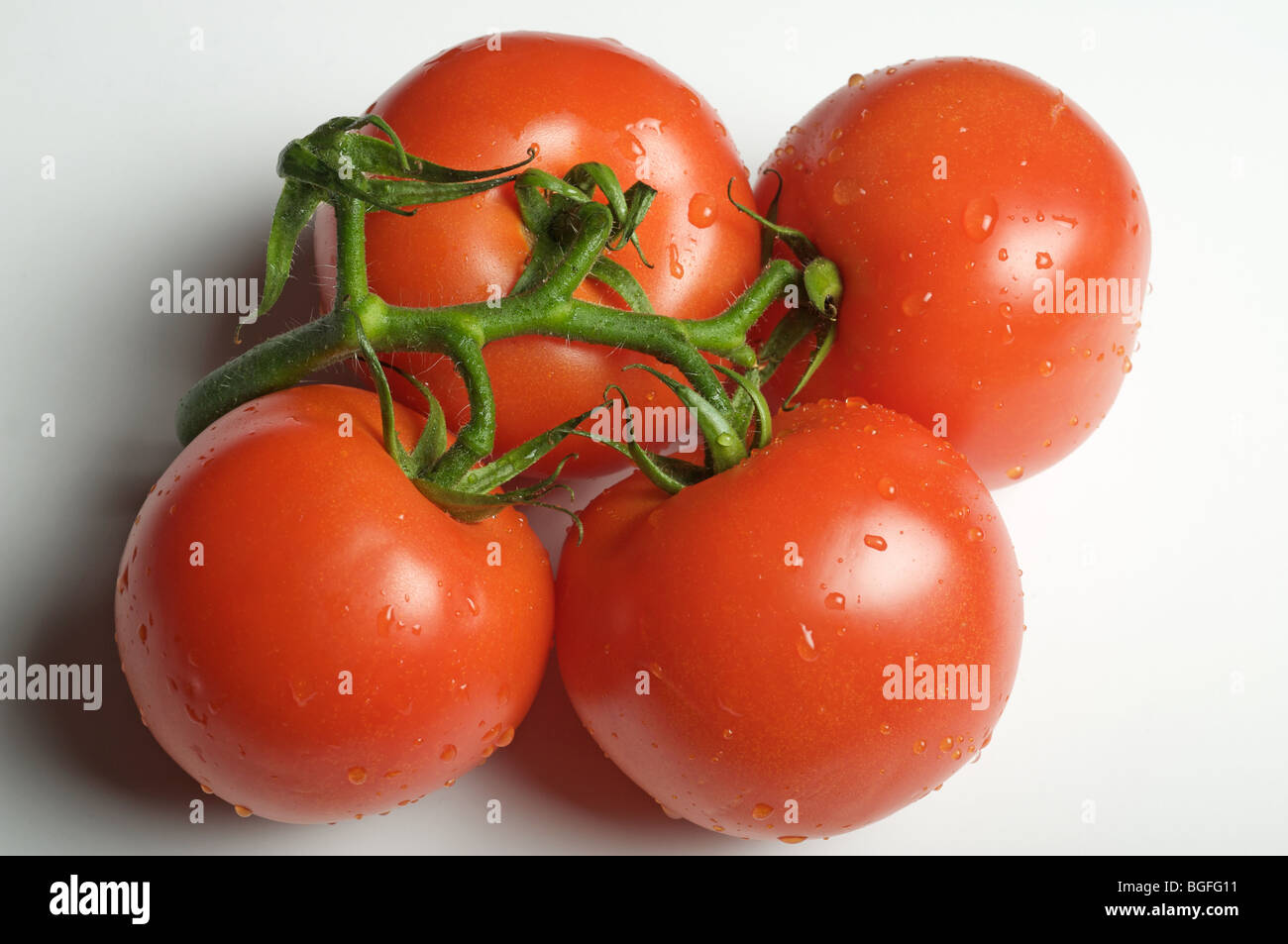 British grown hi-res stock photography and images - Alamy