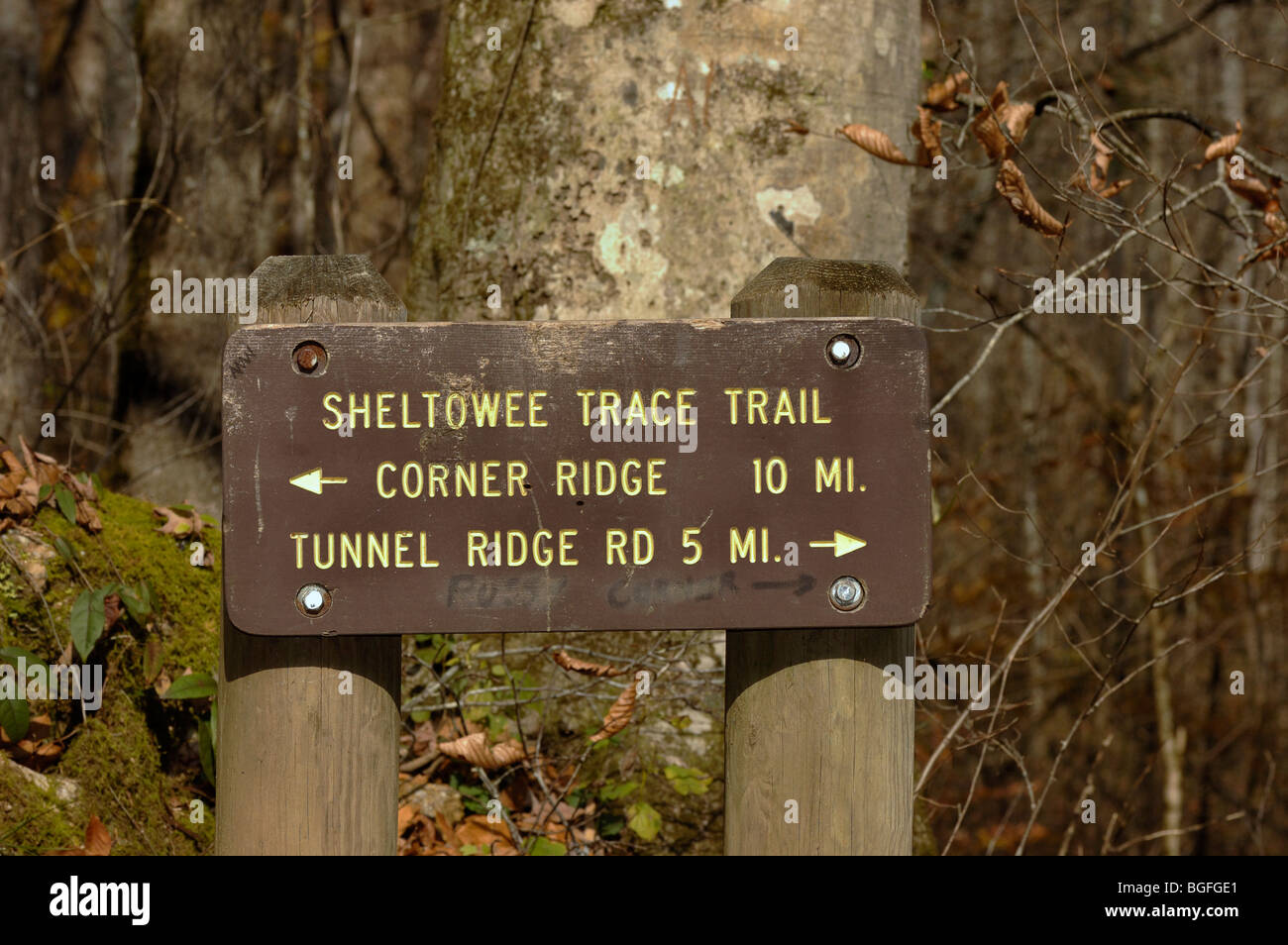 Sign on the Sheltowee Trace Trail in the Red River Gorge Geological ...