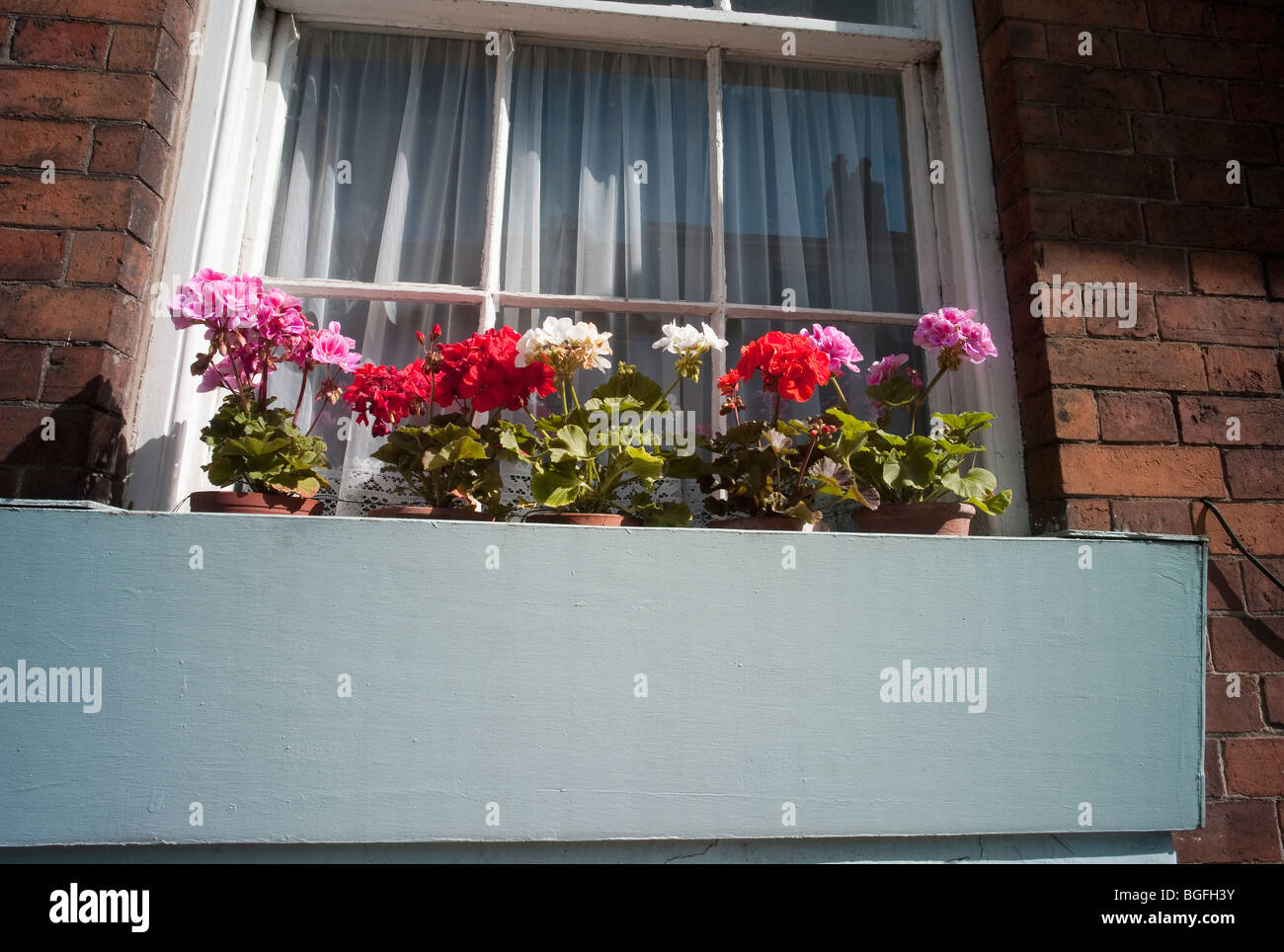 window boxes with geraniums Stock Photo - Alamy
