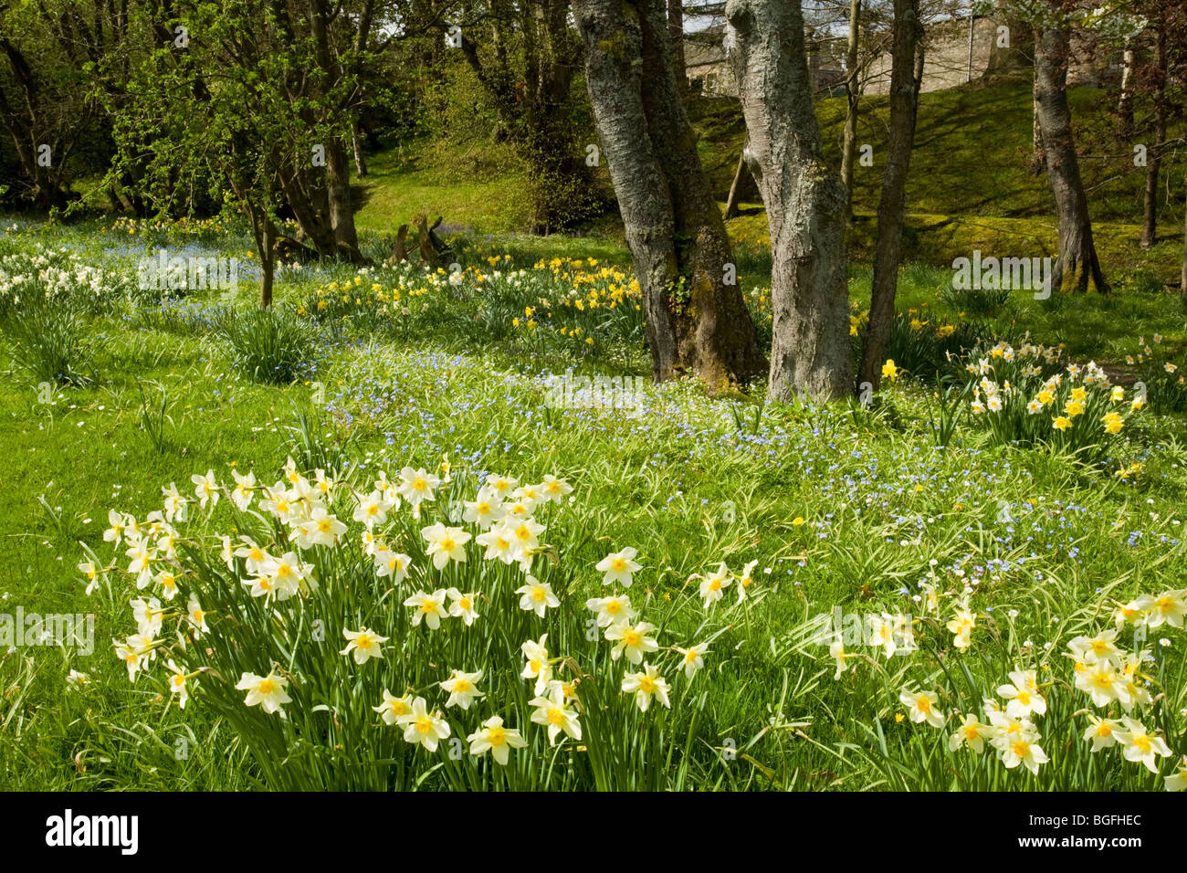 Kailzie gardens hi-res stock photography and images - Alamy