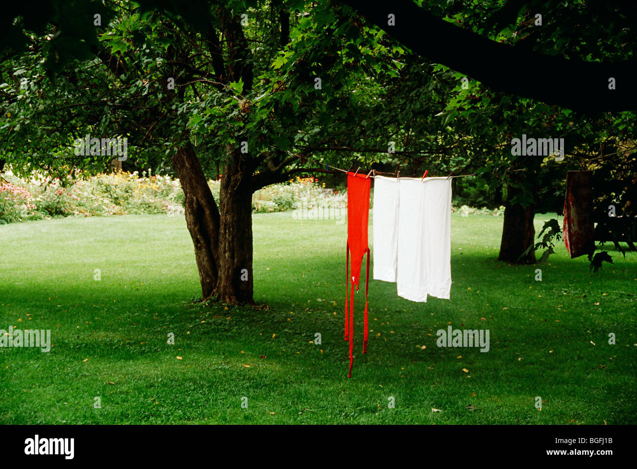 Laundry drying on line outdoors, Waterloo, Quebec, Canada Stock Photo ...