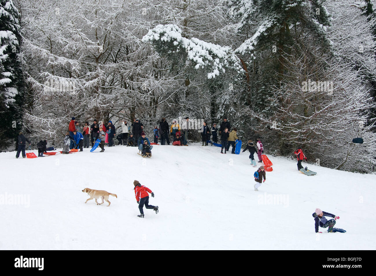 People playing in snow during UK cold snap January 2010 Stock Photo - Alamy