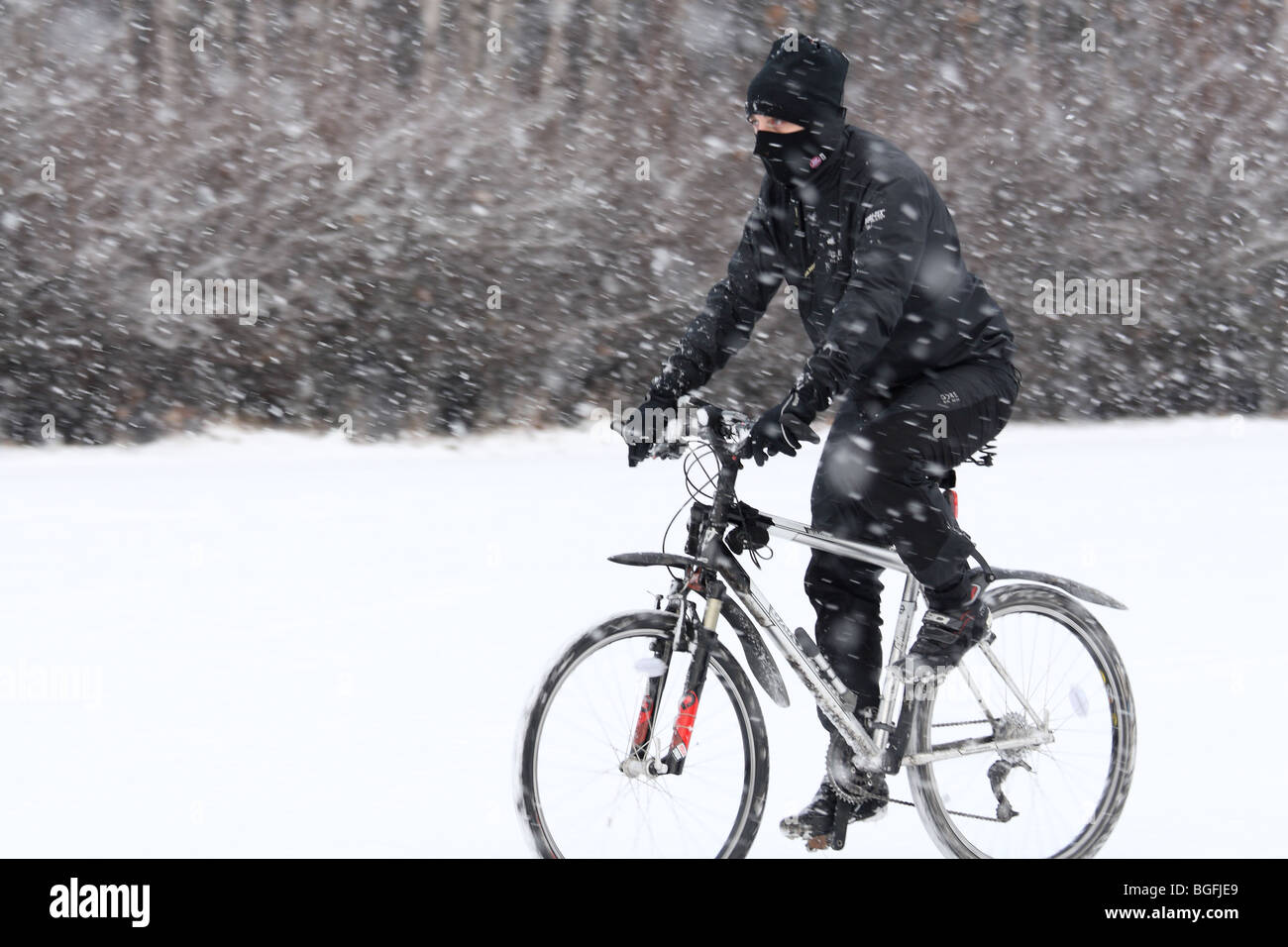 A biker riding through heavy snowfall. Katowice, Poland Stock Photo - Alamy